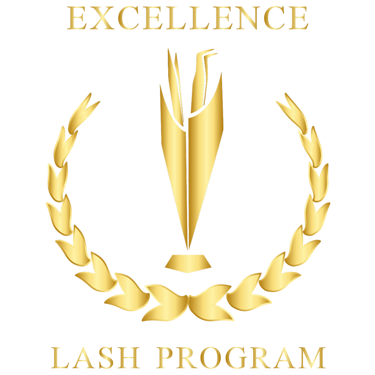 Conoce el programa - Excellence Lash
